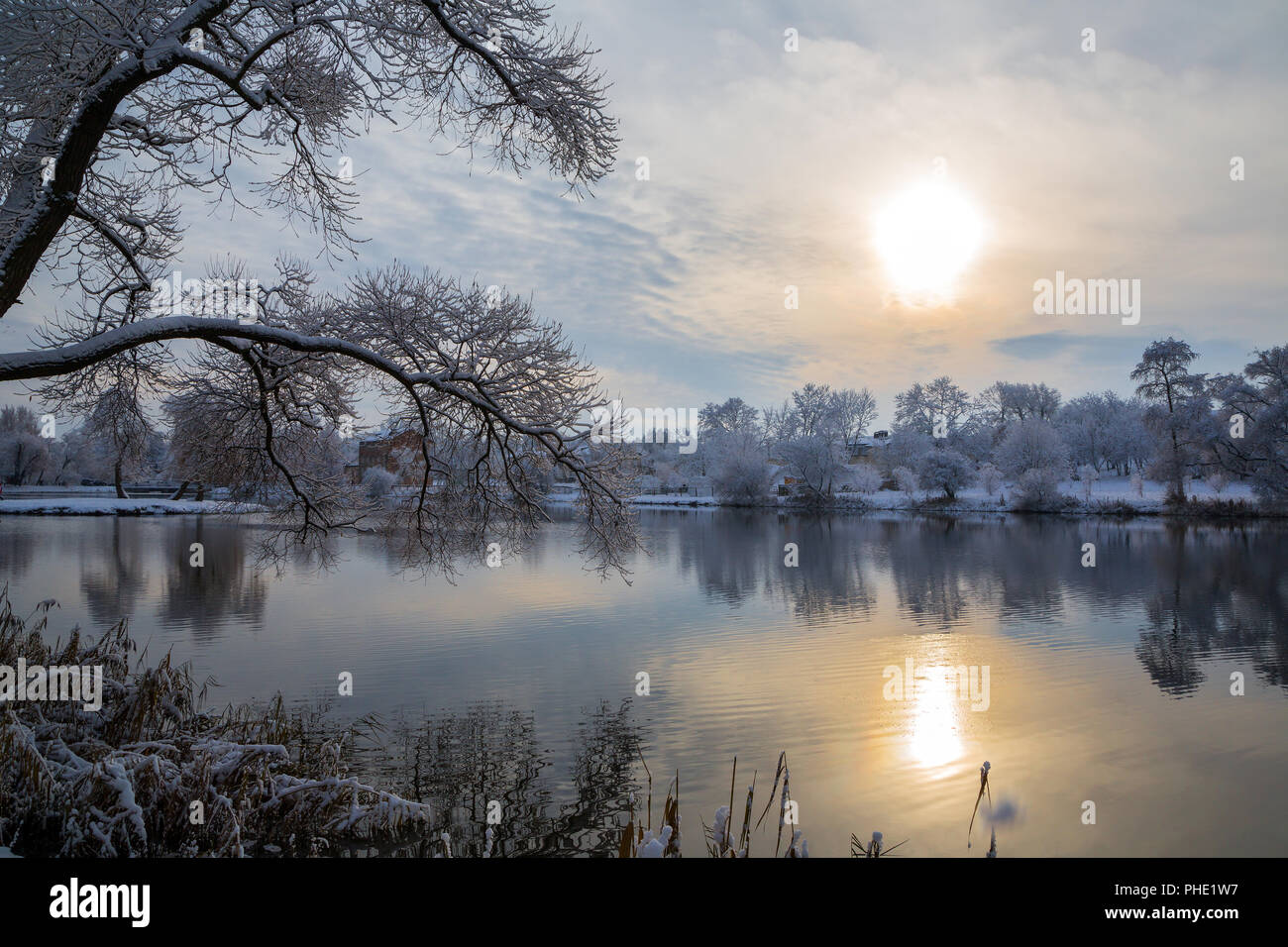 winter landscape with trees Stock Photo - Alamy