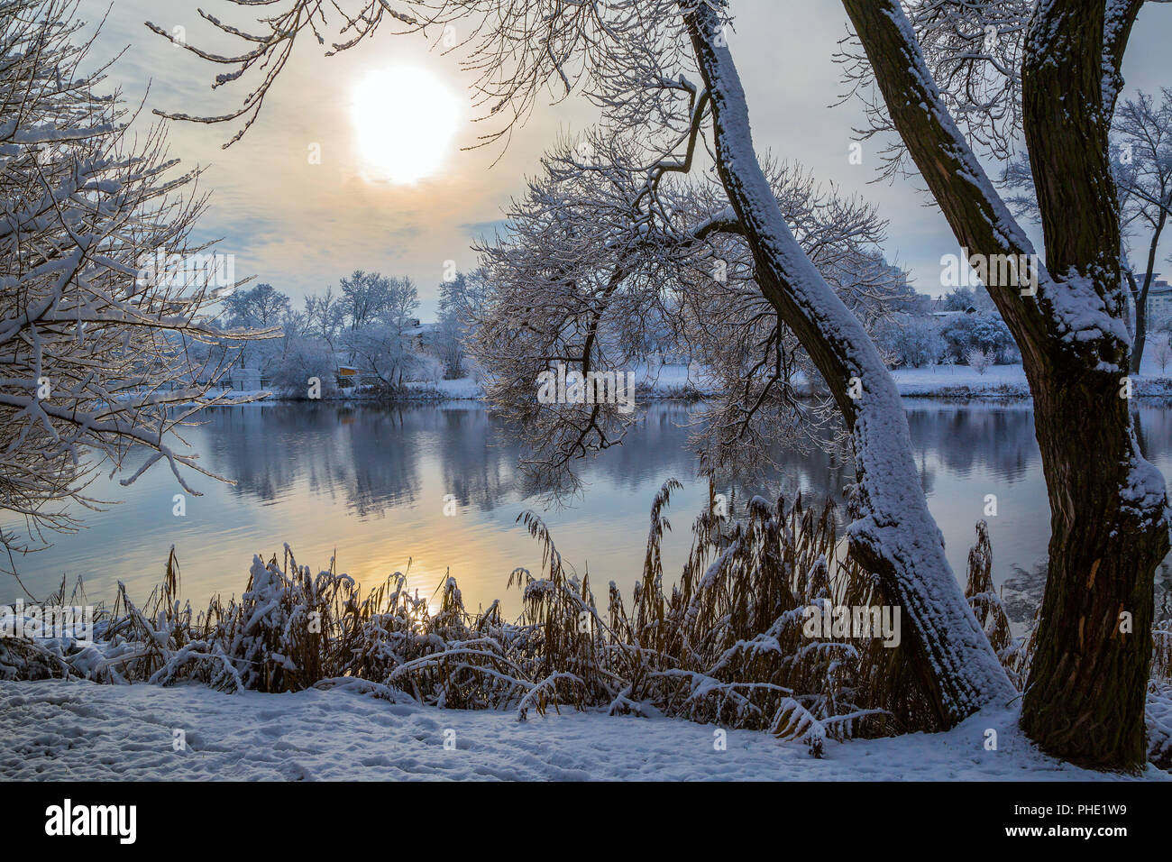 winter landscape with trees Stock Photo - Alamy