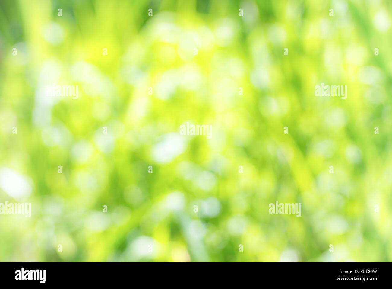 Summer sunny background Stock Photo - Alamy