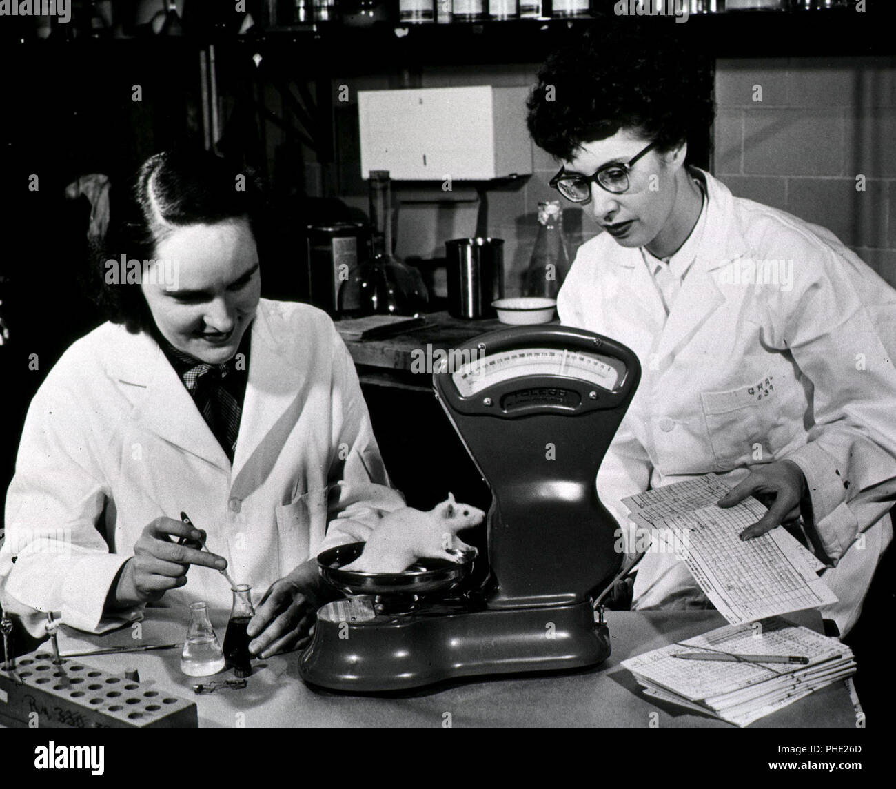 Lab rat 1950s hi-res stock photography and images - Alamy