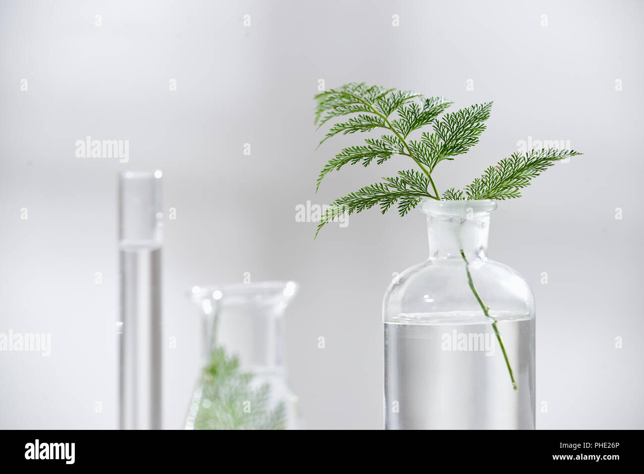 Beauty of science hi-res stock photography and images - Alamy