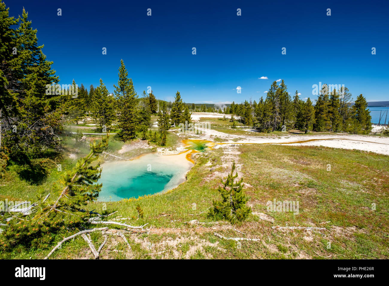 Hot thermal spring in Yellowstone Stock Photo - Alamy