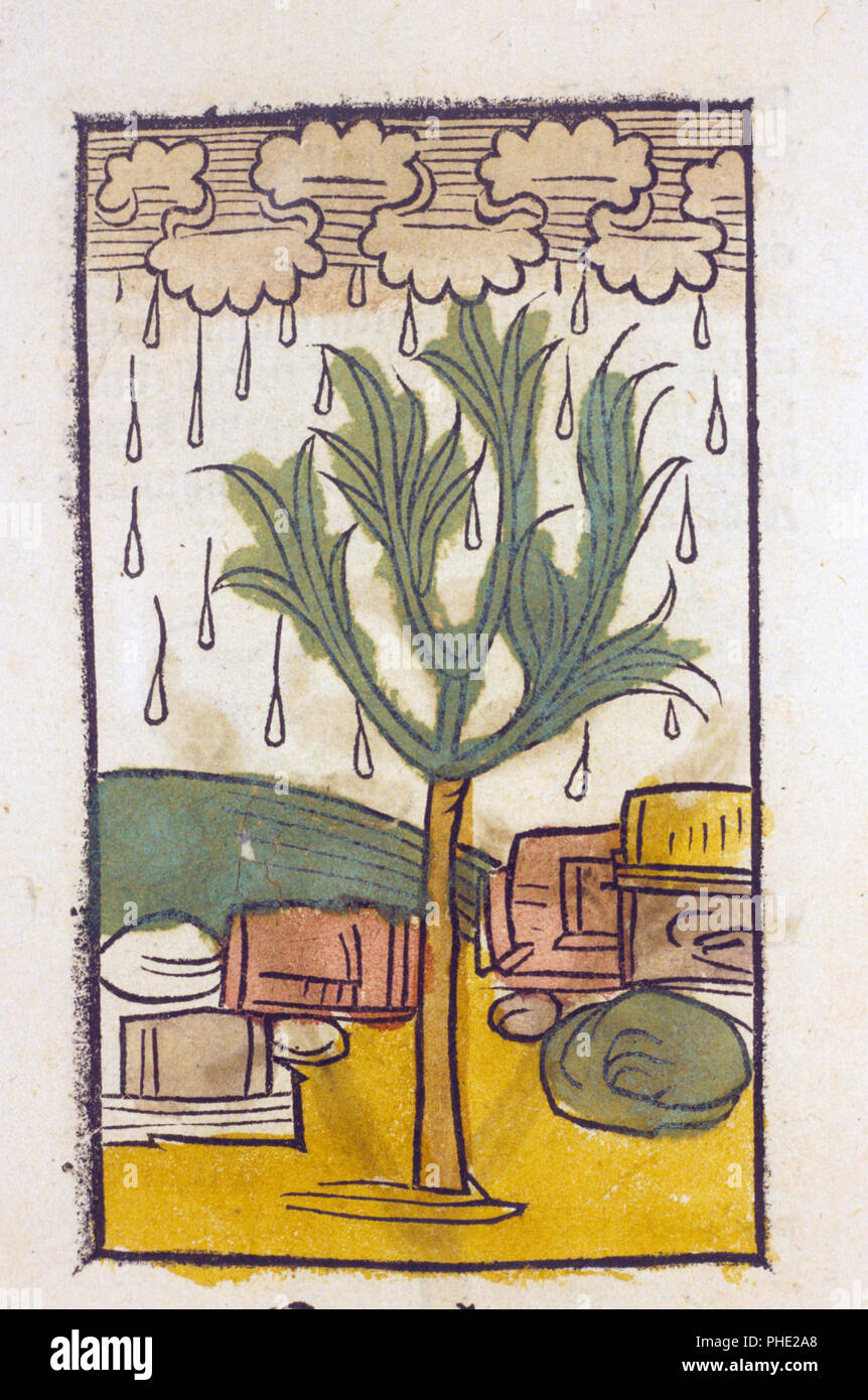 1400s manna drawing hi-res stock photography and images - Alamy