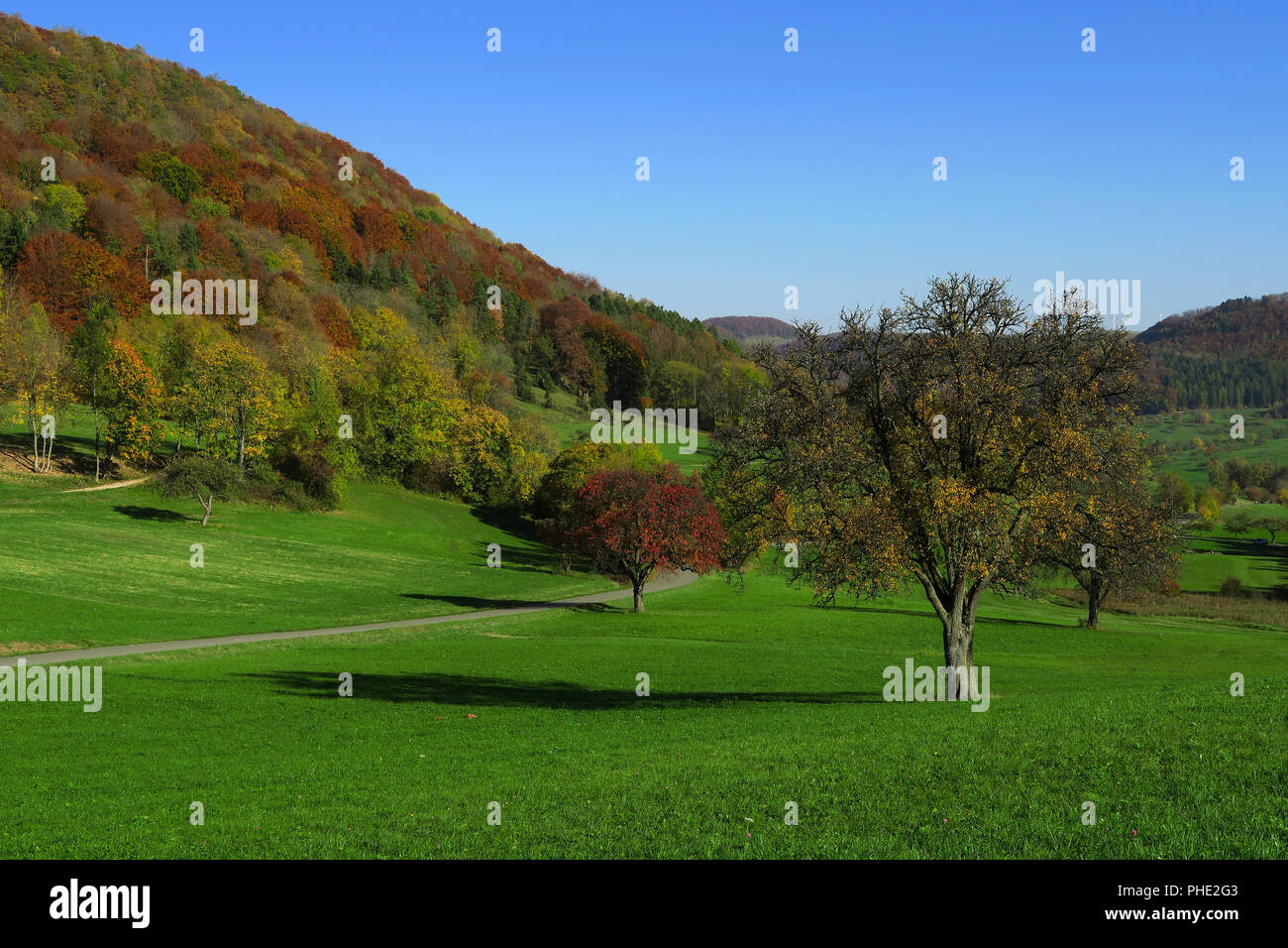 autumn landscape; swabian jura; swabian alpes Stock Photo - Alamy