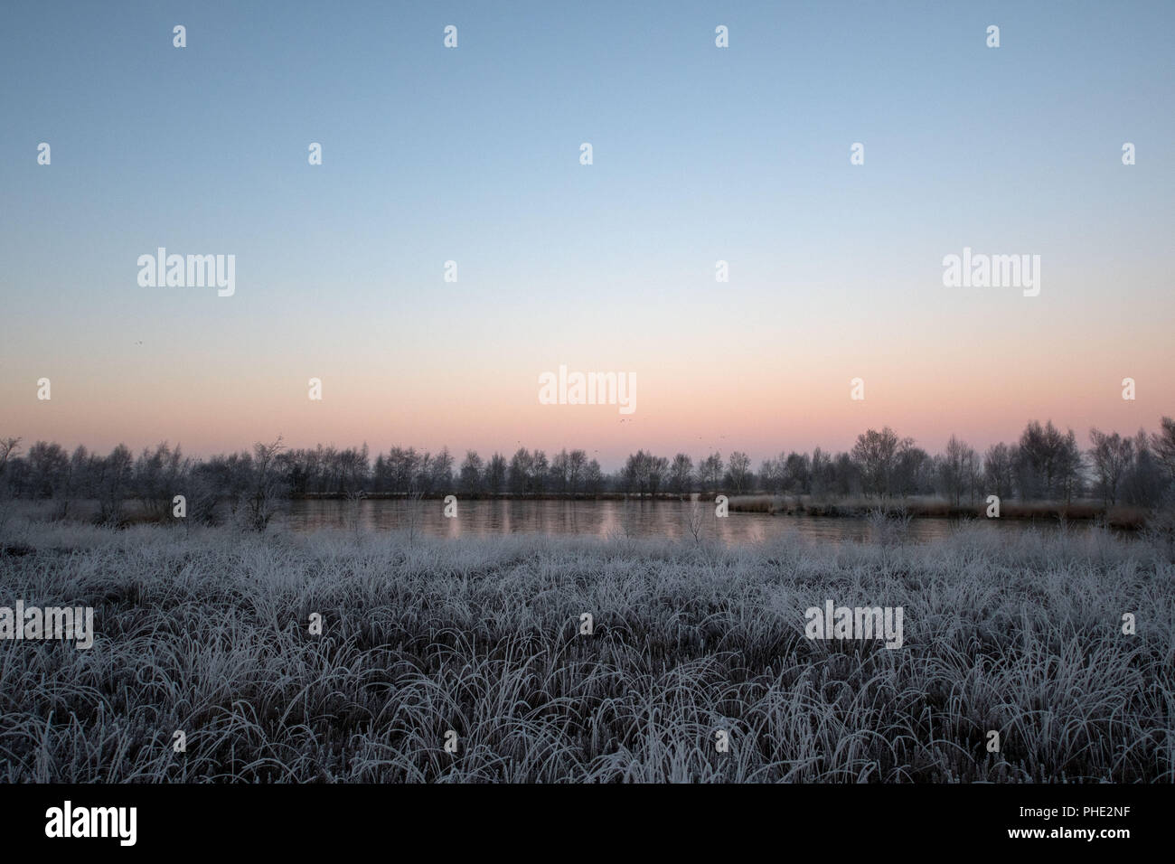 Naturpark Bourtanger Moor - Bargerveen Stock Photo - Alamy