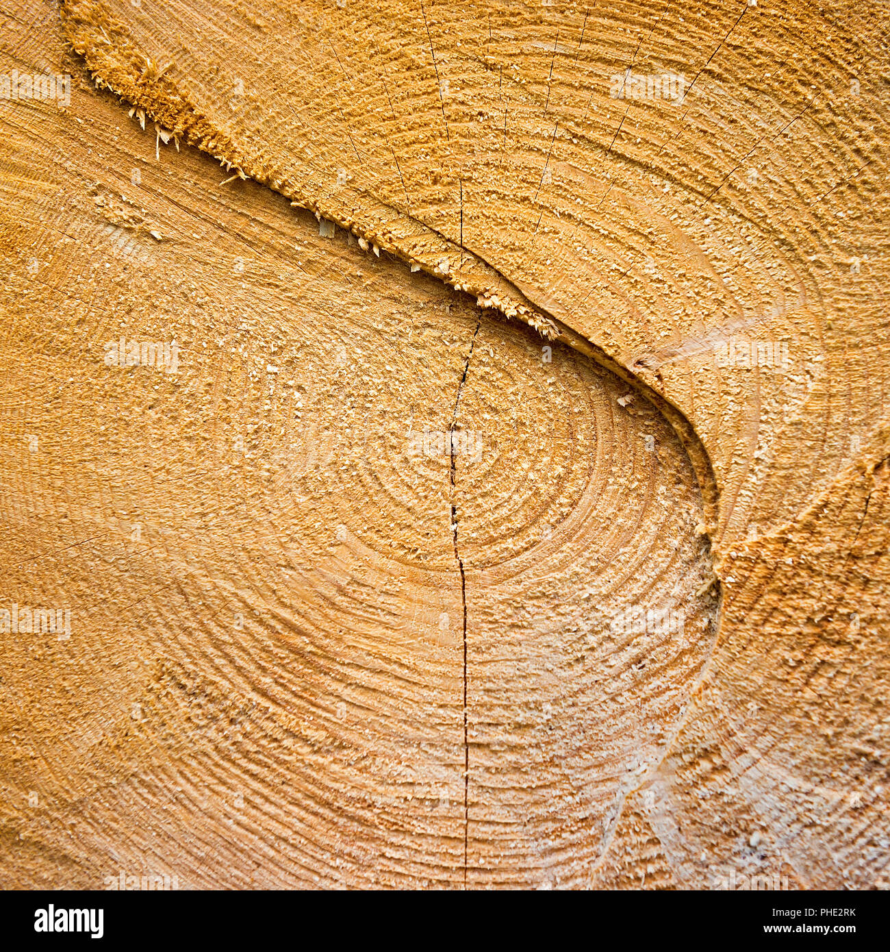 Light yellow cracked wooden texture Stock Photo - Alamy