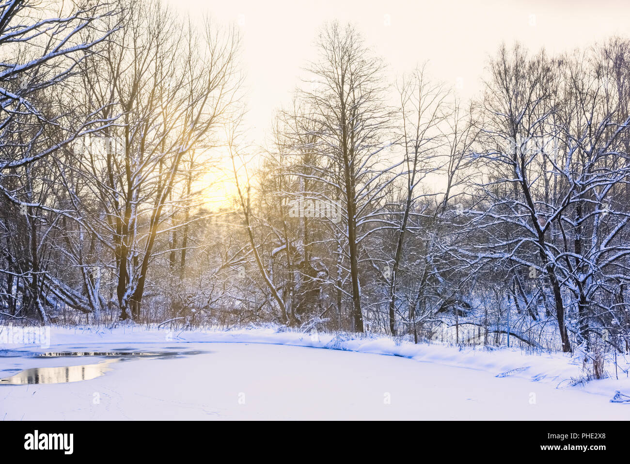 Sun Forest Trees Snow Stock Photos & Sun Forest Trees Snow Stock Images ...