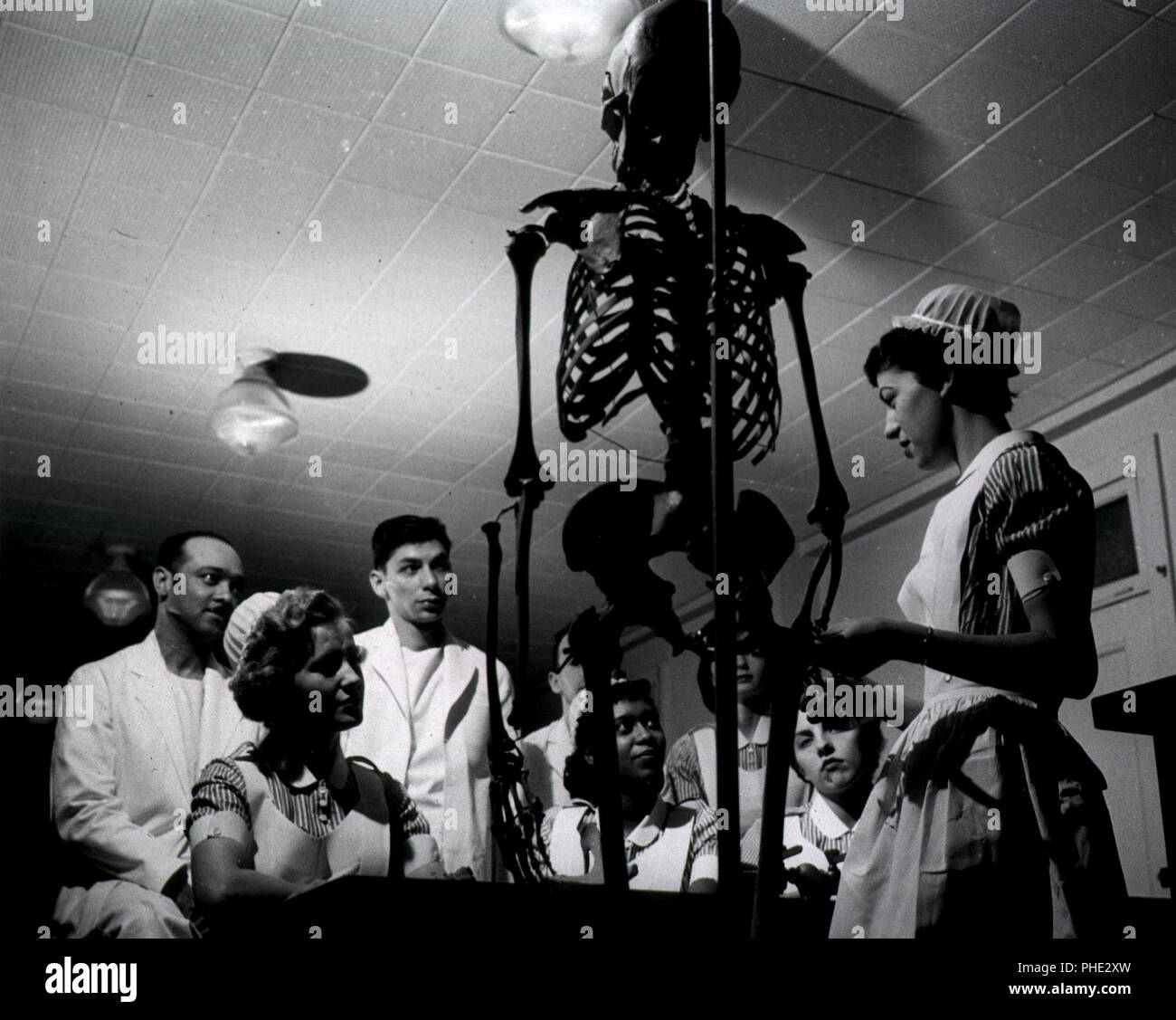 Teaching skeletal structure hi-res stock photography and images - Alamy