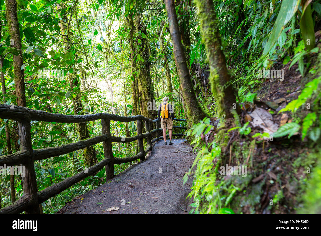 Hike in Costa Rica Stock Photo - Alamy