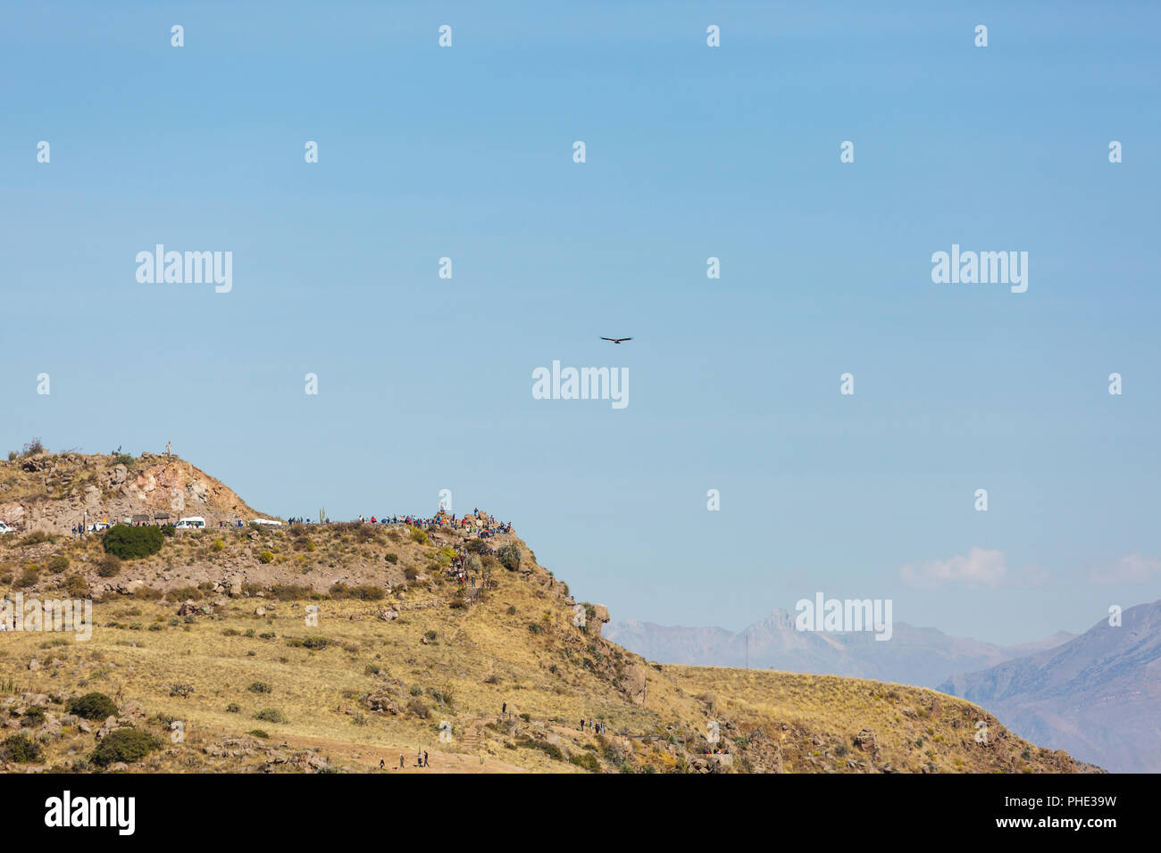 Condor sighting hi-res stock photography and images - Alamy