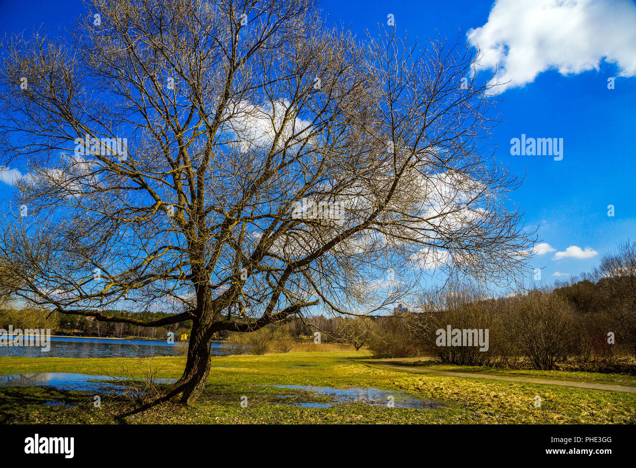 Spend spring hi-res stock photography and images - Alamy