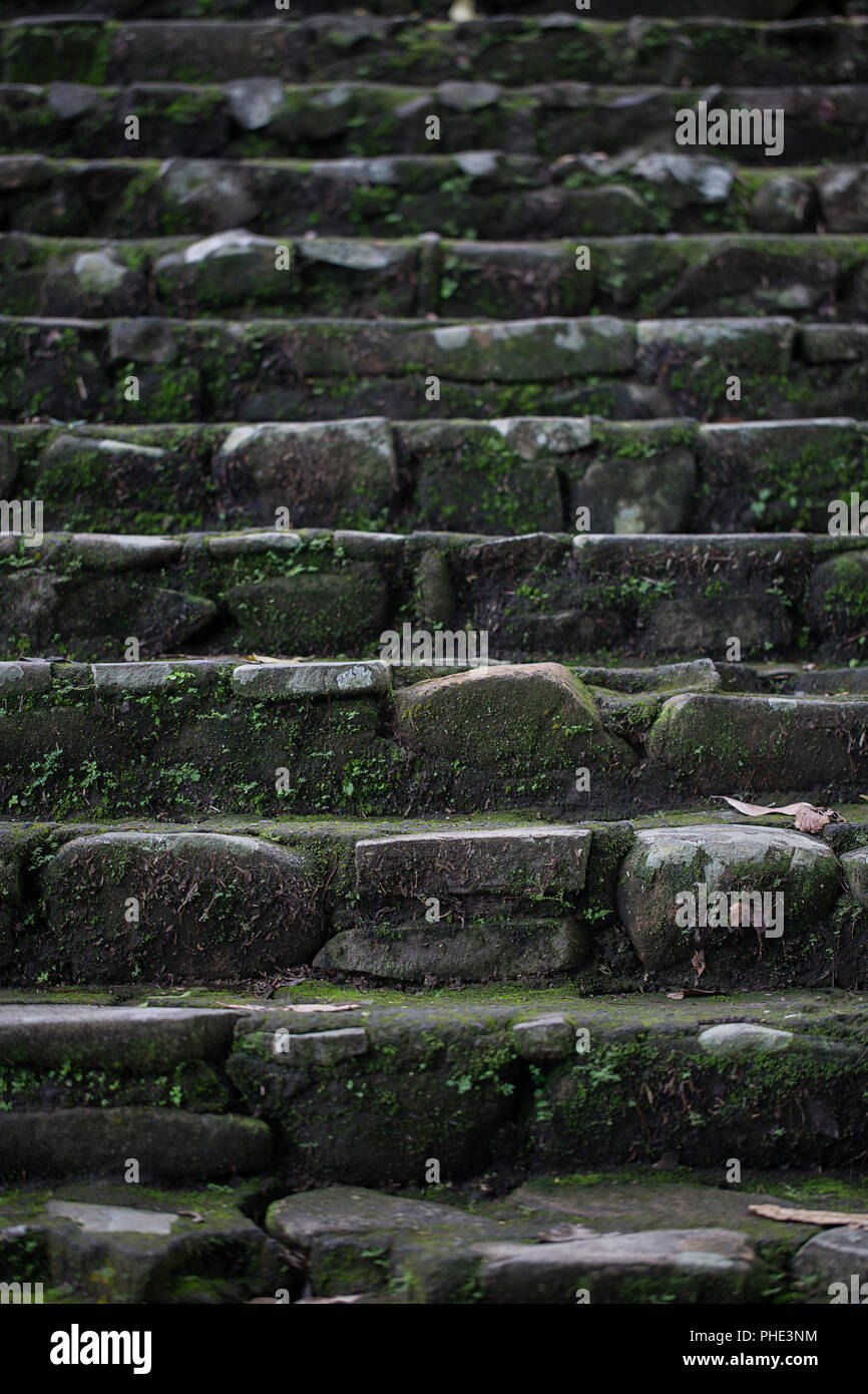 Old wet stone steps filled with moss, macro texture Stock Photo - Alamy