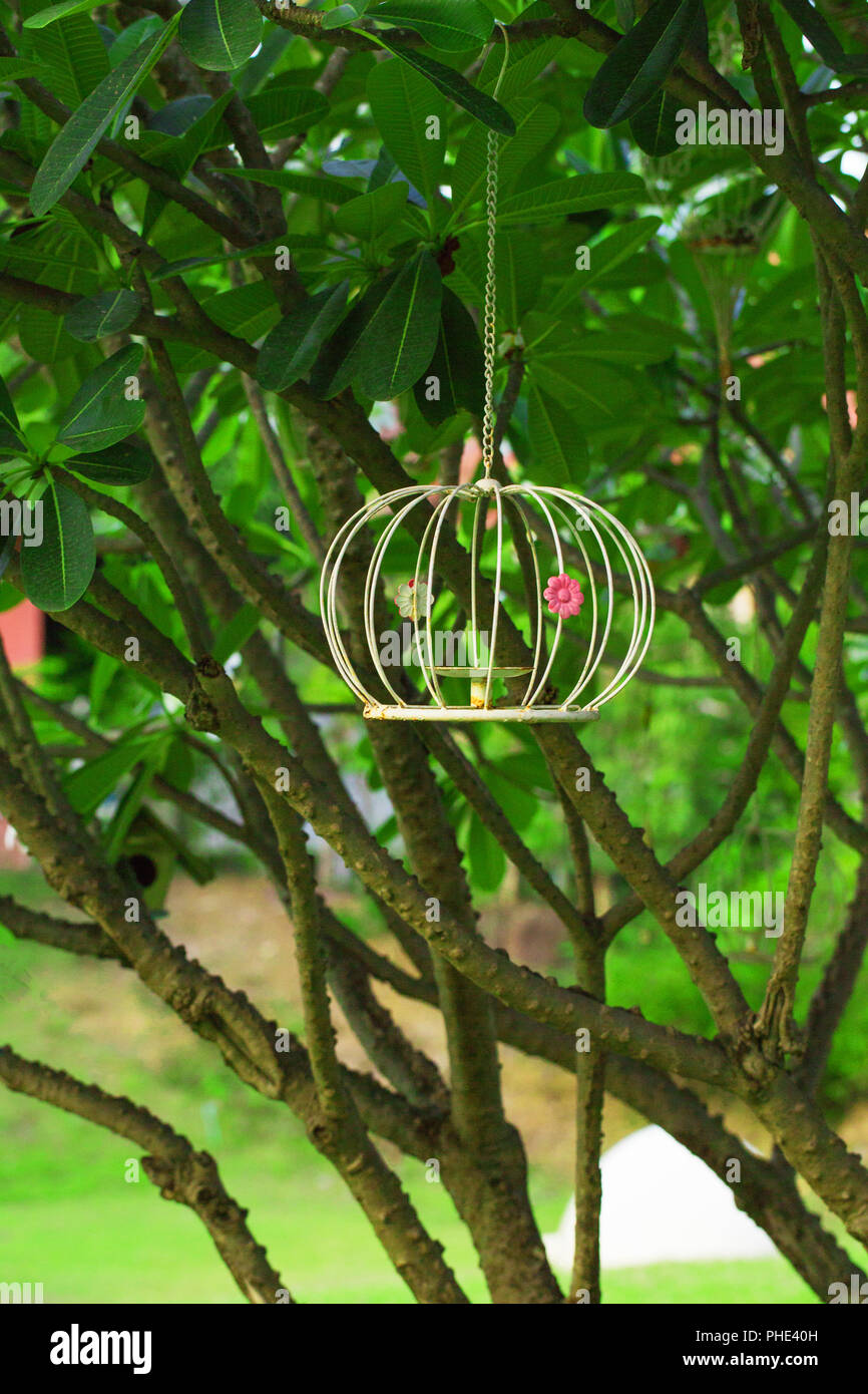 Decorative cage on a tree branch in the garden Stock Photo - Alamy