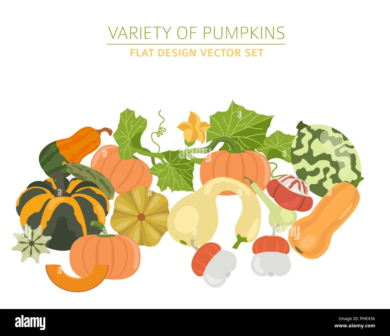 Variety vector vectors hi-res stock photography and images - Alamy