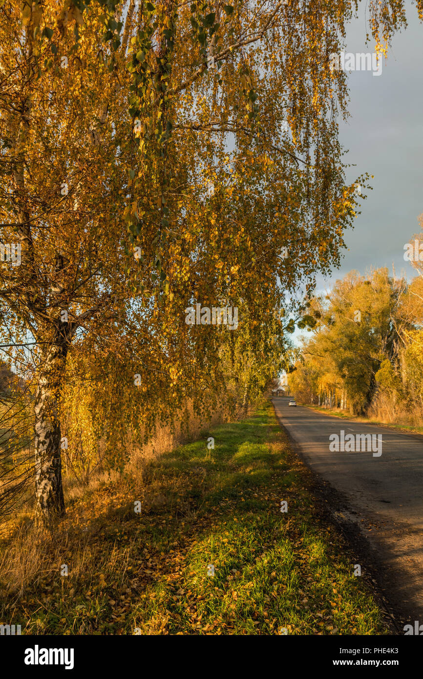 Beautiful road along fields hi-res stock photography and images - Alamy