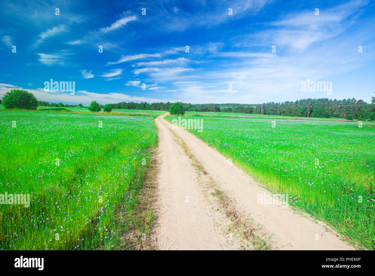 beautiful field and road Stock Photo - Alamy