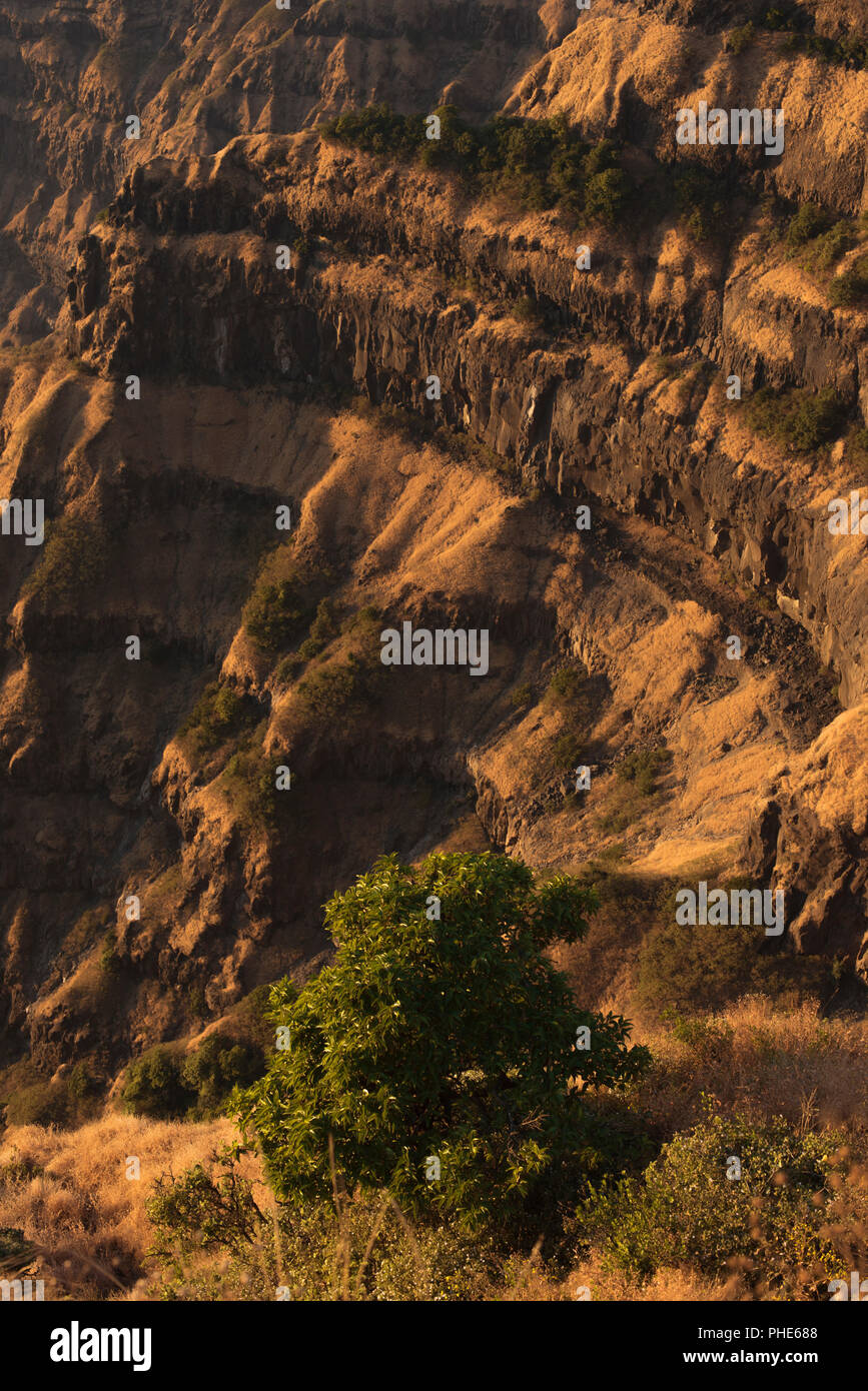 Contoured texture hi-res stock photography and images - Alamy