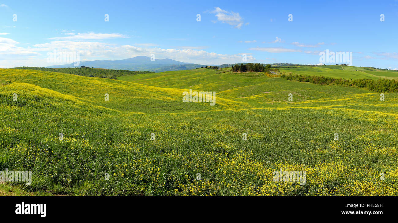 Colorful flowers on the hill hi-res stock photography and images - Alamy