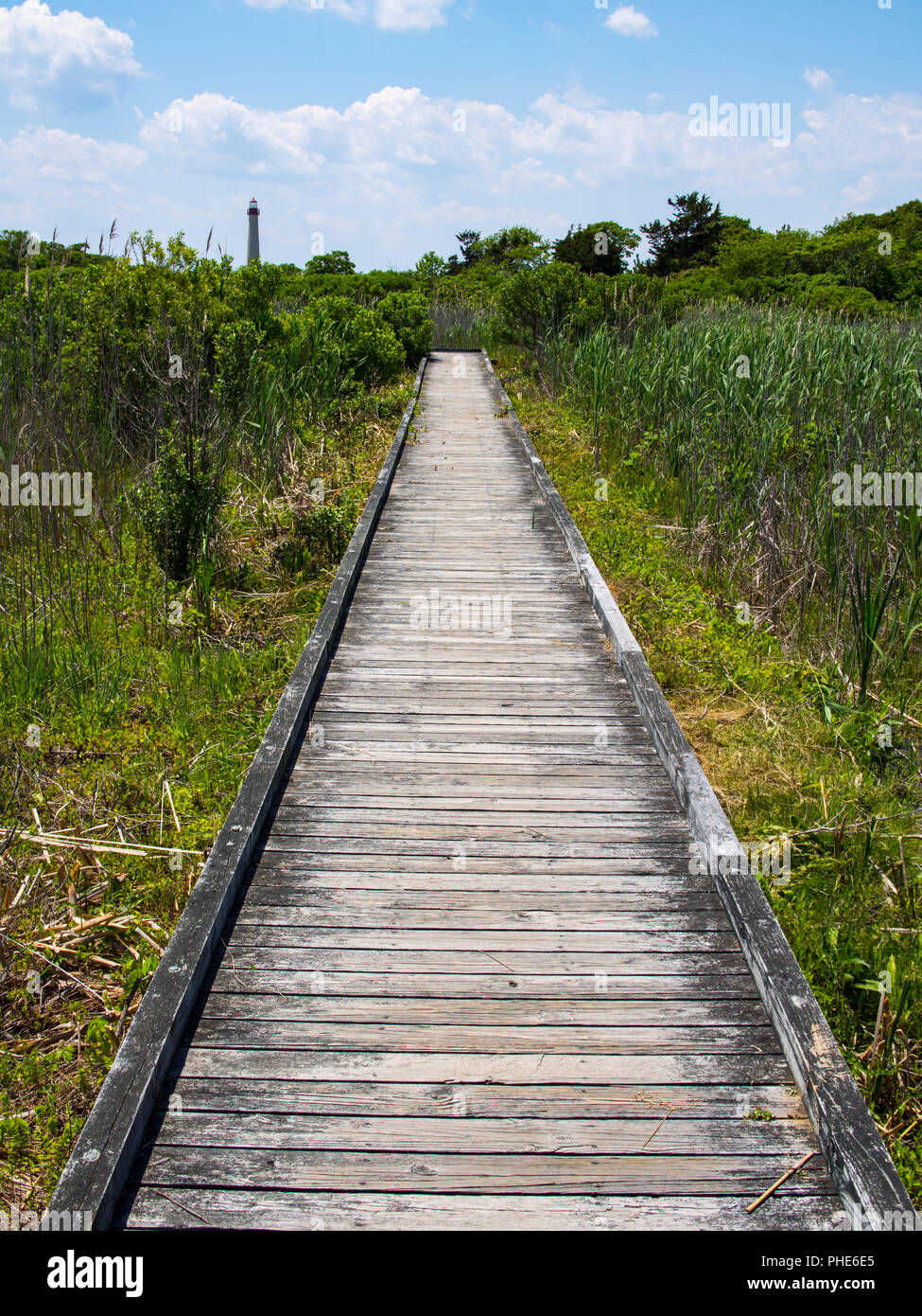 Wood Boardwalk Through Marsh High Resolution Stock Photography and ...