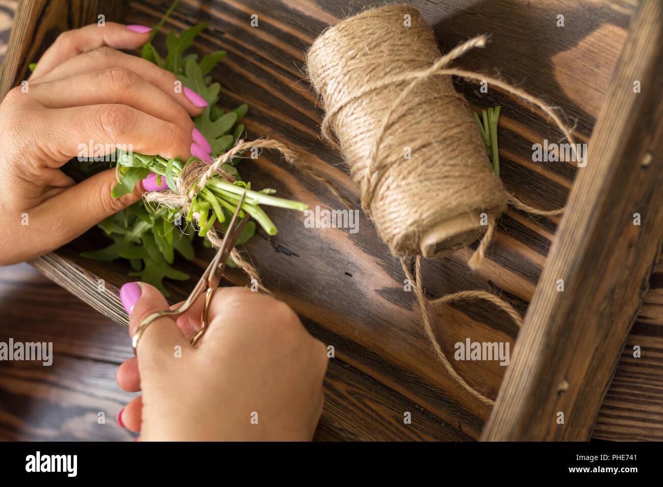 Female hands cutting arugula with scissors Stock Photo - Alamy