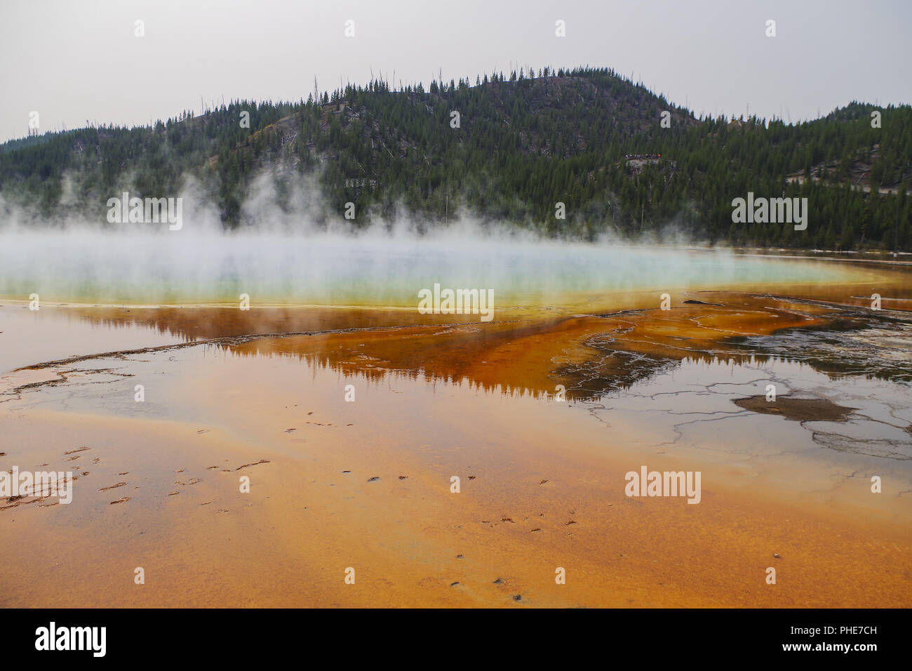 Yellowstone National Park USA and geothermal springs Stock Photo - Alamy