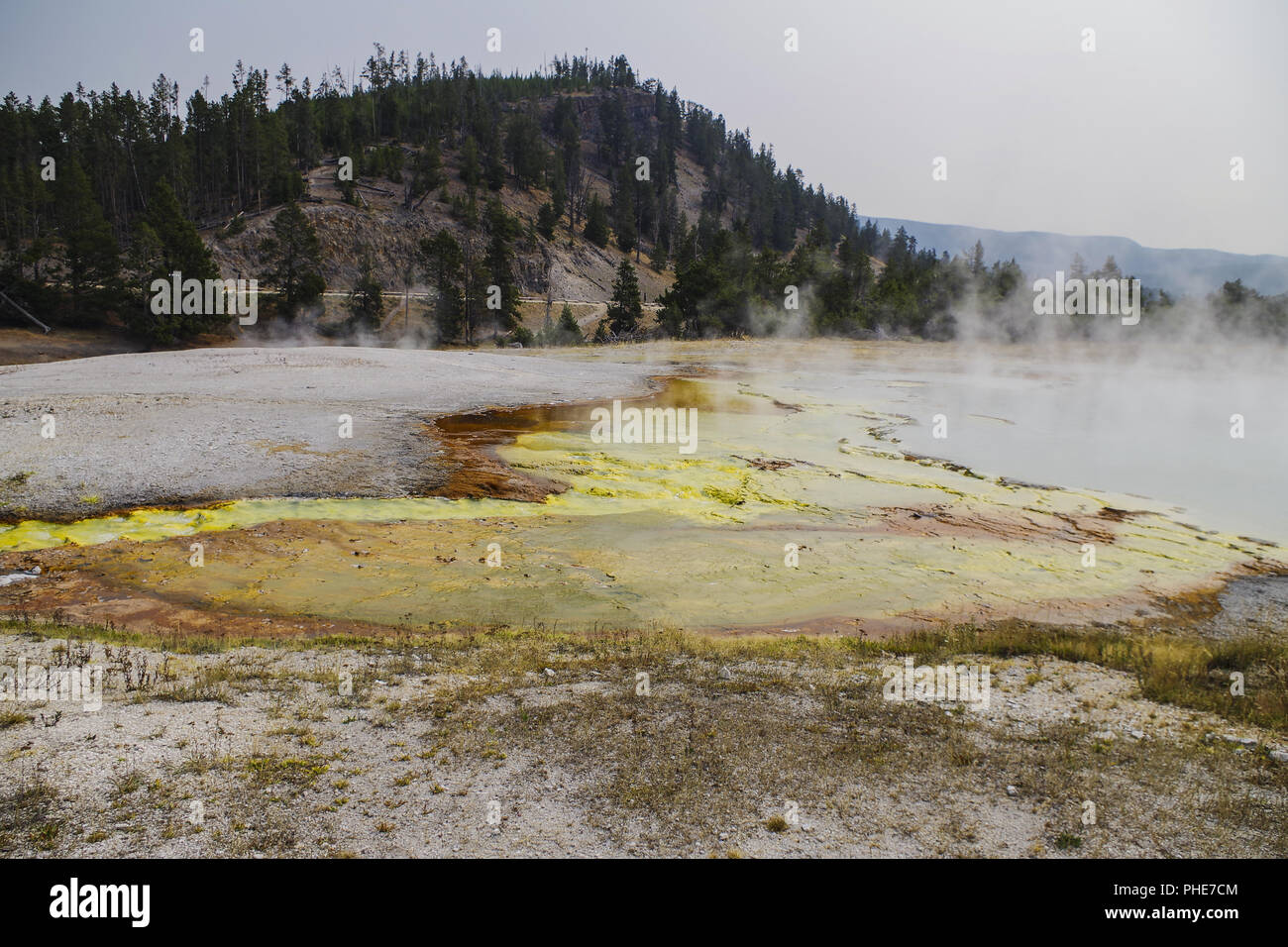 Yellowstone National Park USA and geothermal springs Stock Photo - Alamy