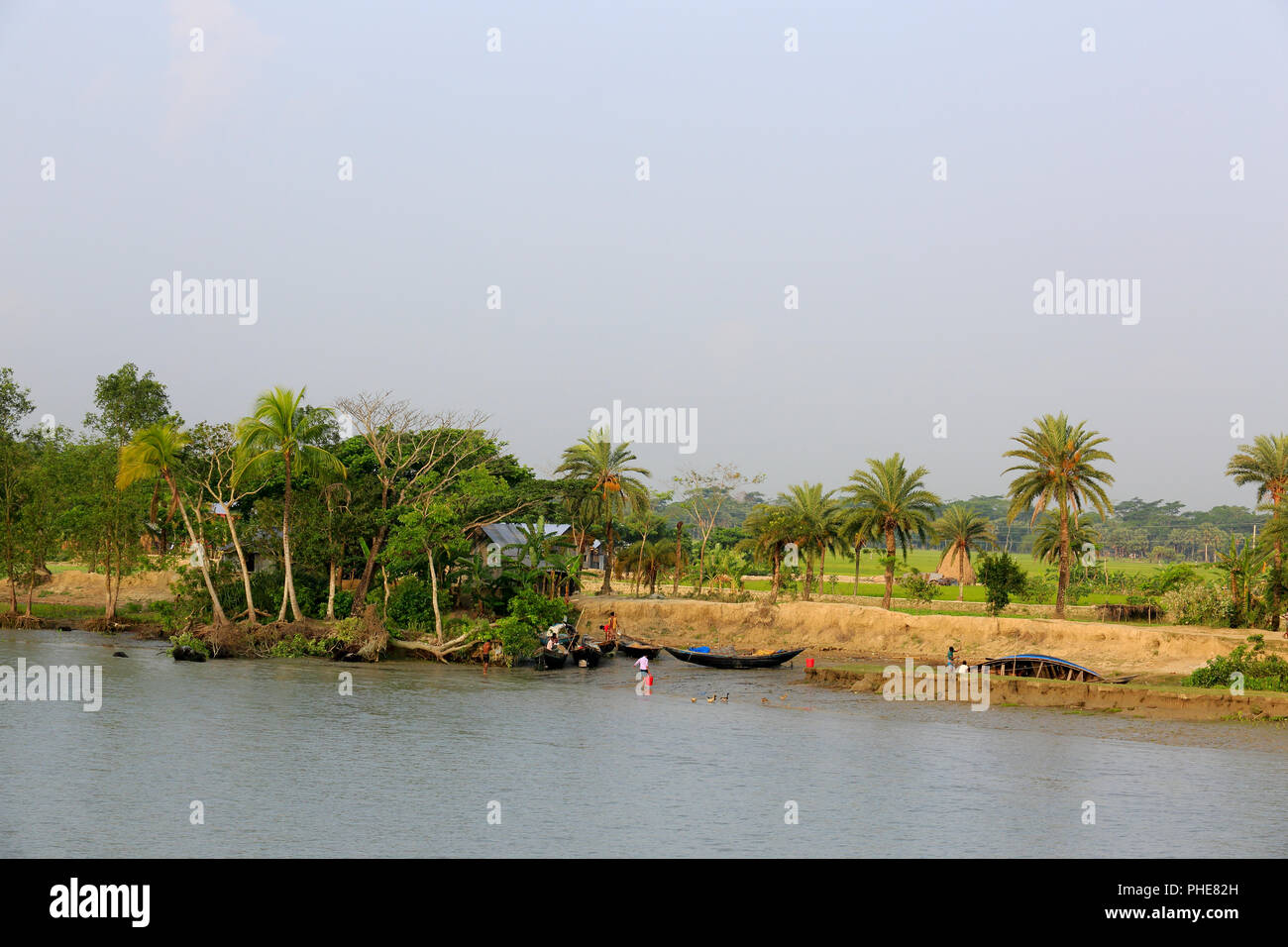 Erosion on the bank of Tetulia River, Patuakhali, Bangladesh Stock ...