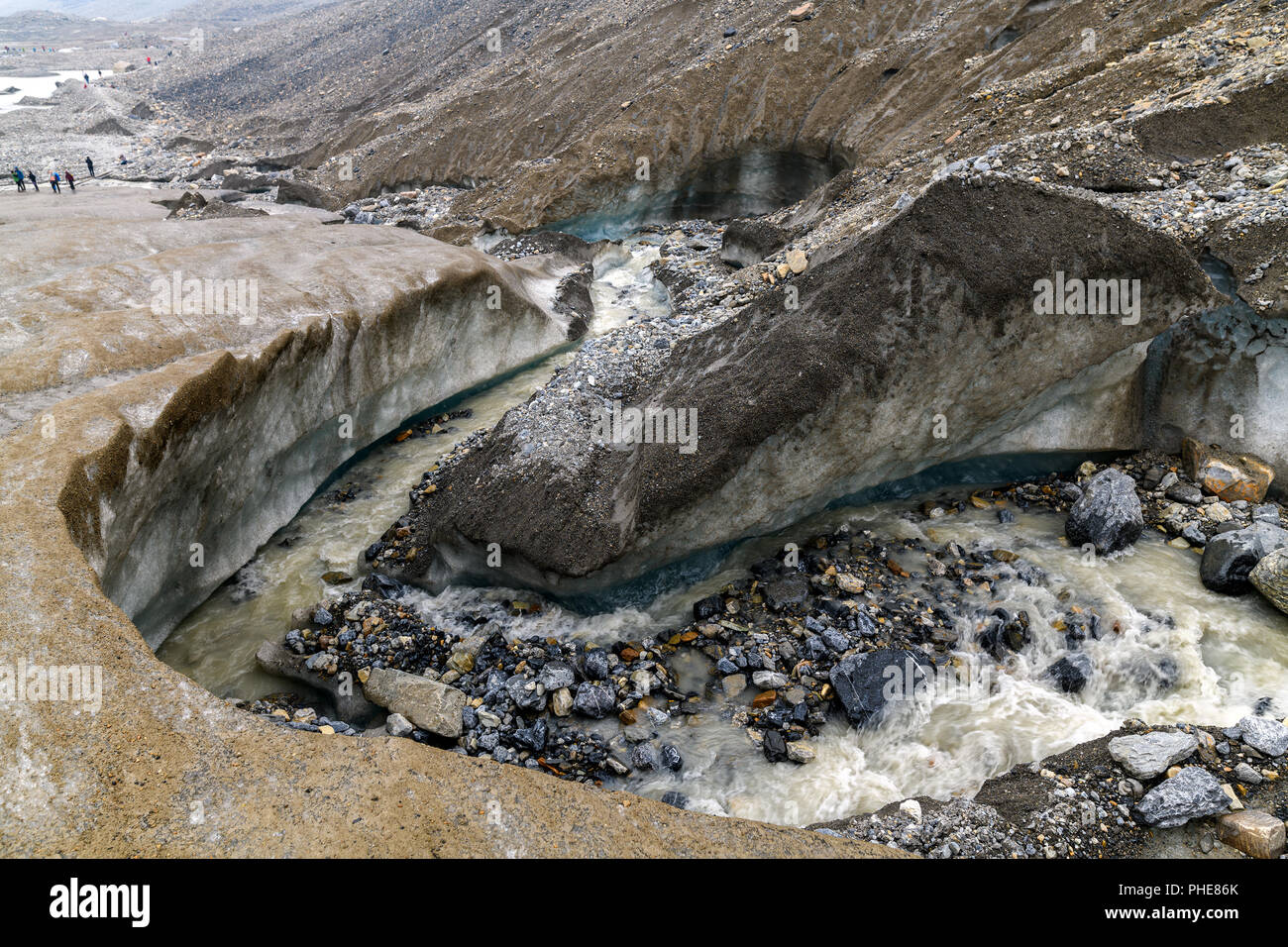 Surface melt water flowing through sinuous channel on the Athabasca ...