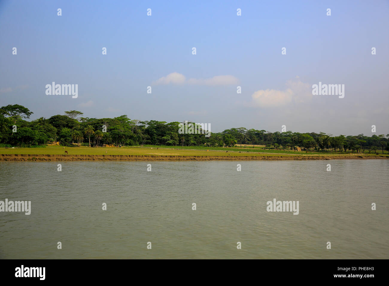 Agricultural field on the bank of Tetulia River. Patuakhali, Bangladesh ...
