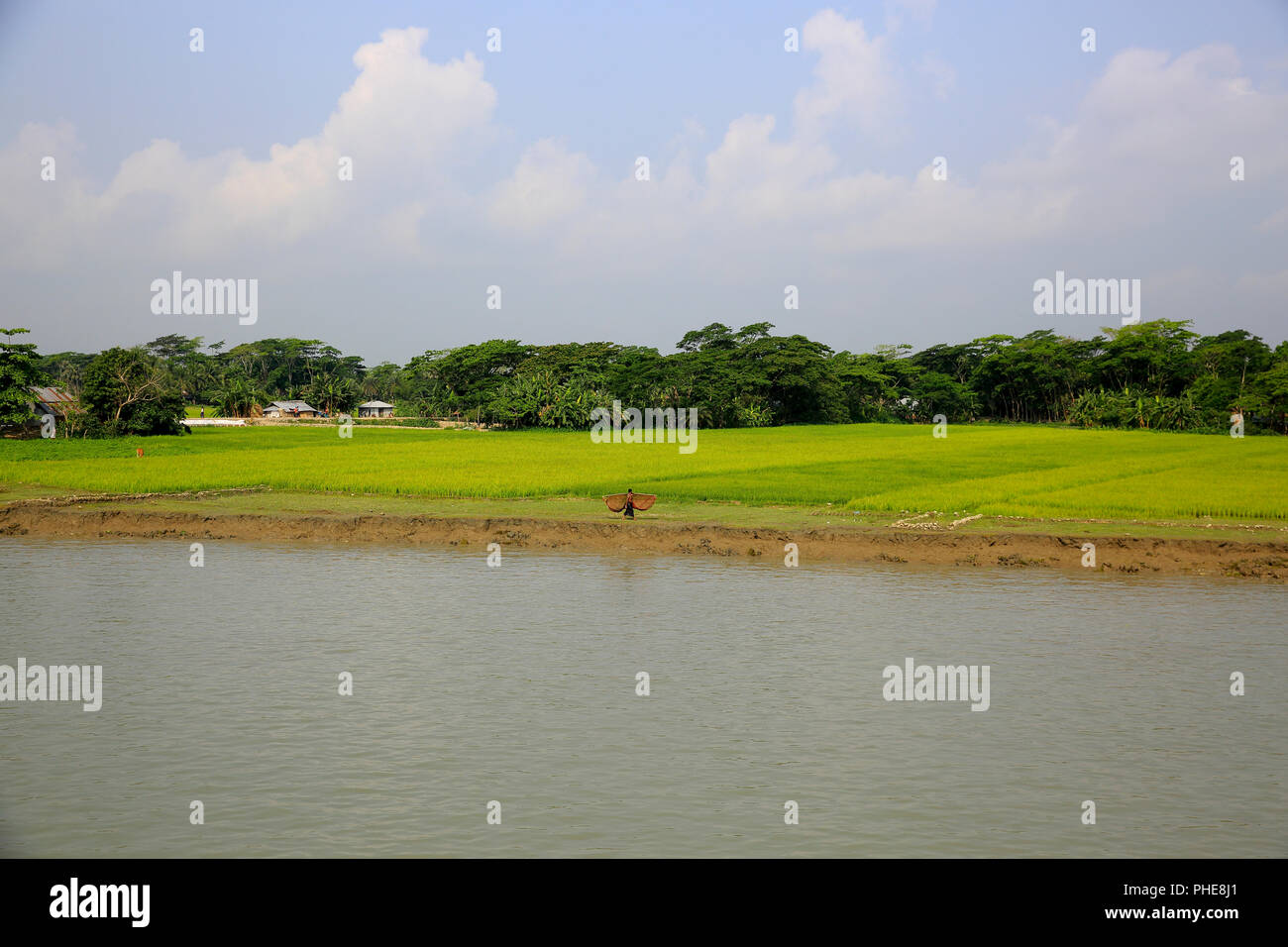 Agricultural field on the bank of Tetulia River. Patuakhali, Bangladesh ...