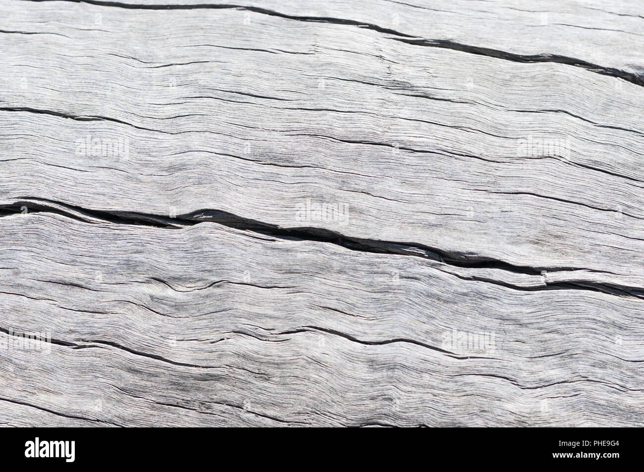 Rustic gray wood background with structural effect Stock Photo - Alamy
