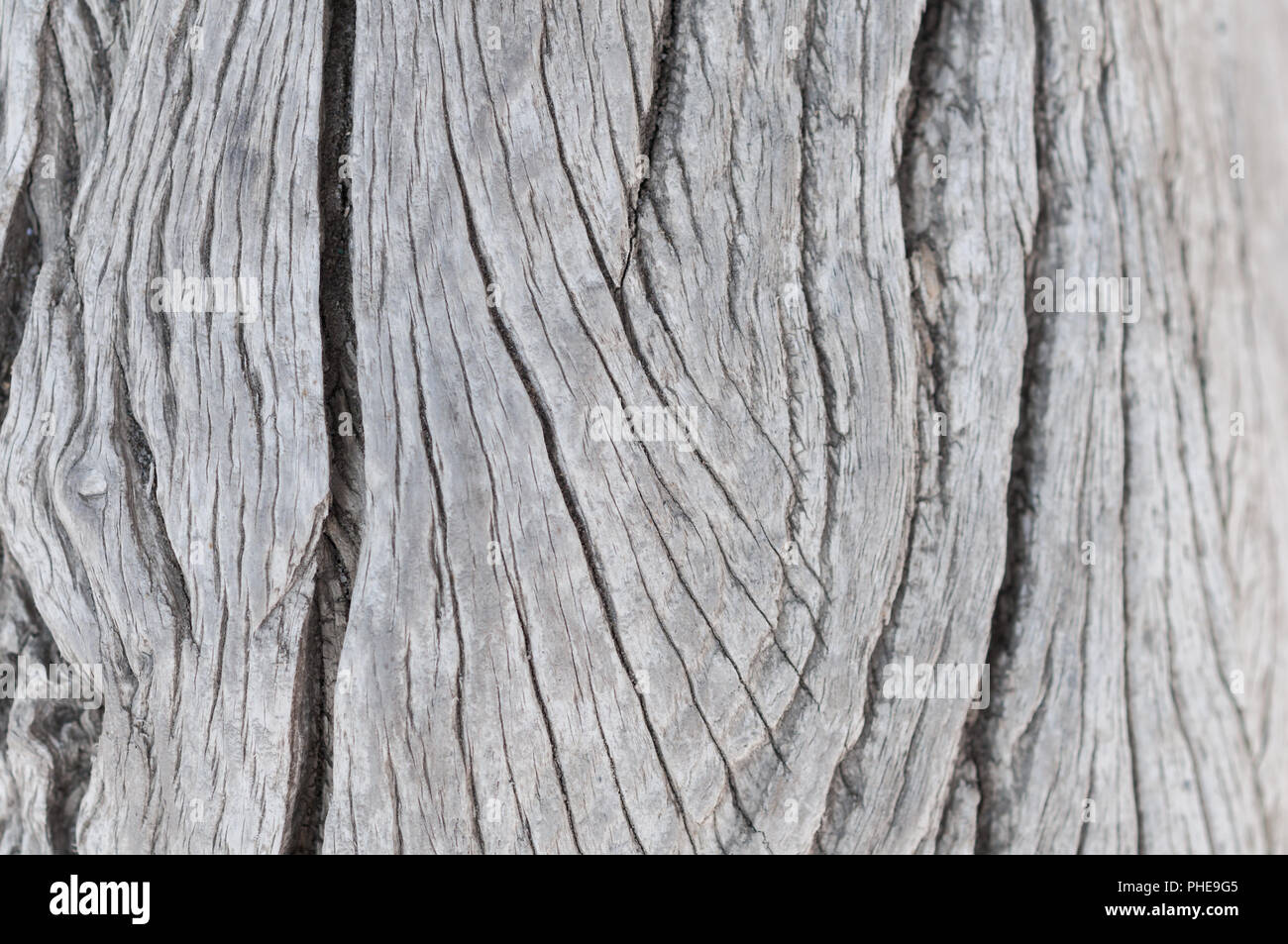 Rustic gray wood background with structural effect Stock Photo - Alamy