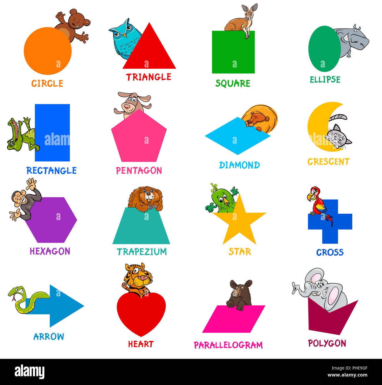 Animal Geometric Shapes