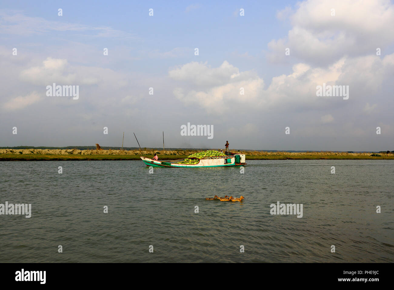 Transportation of watermelon by boat through Tetulia River in ...