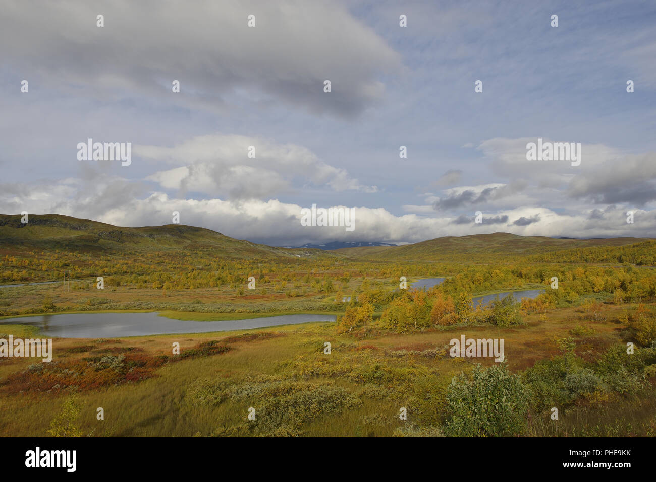 Sommerstrasse hi-res stock photography and images - Alamy