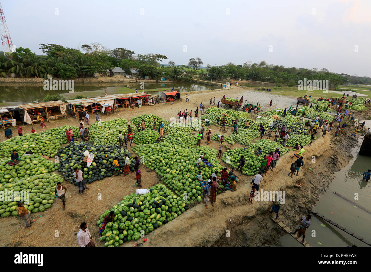 Huge watermelons hi-res stock photography and images - Alamy