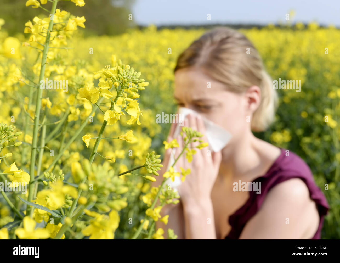 young woman has hay fever Stock Photo - Alamy