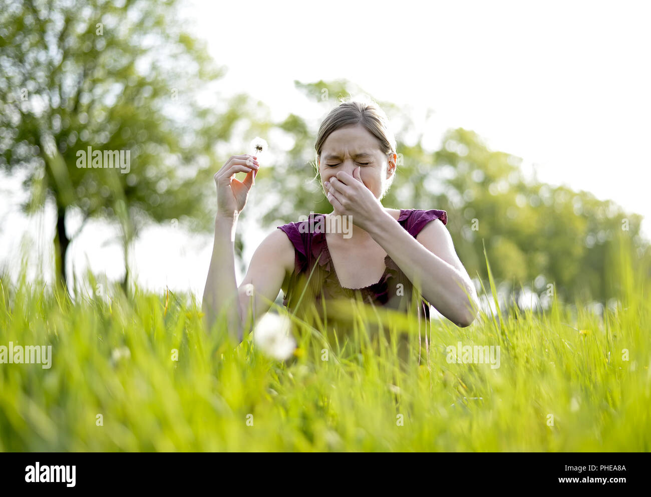 woman has hay fever Stock Photo - Alamy