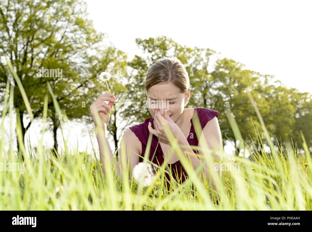 woman has hay fever Stock Photo - Alamy