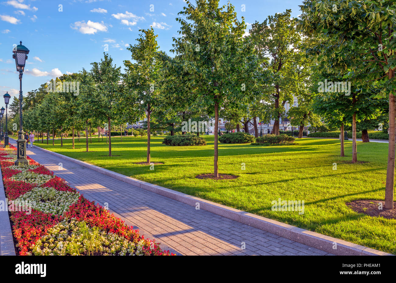 Alexander grass hi-res stock photography and images - Alamy