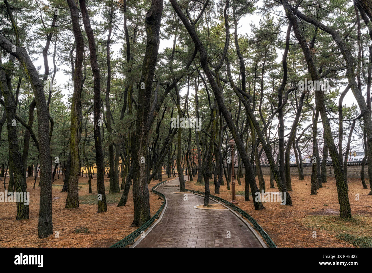 Tumul hi-res stock photography and images - Alamy