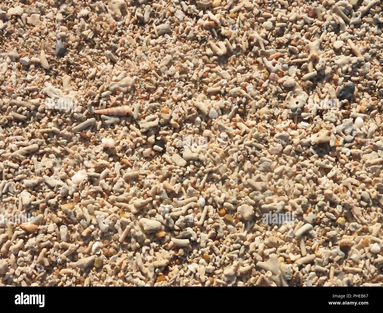 Coral stones hi-res stock photography and images - Alamy