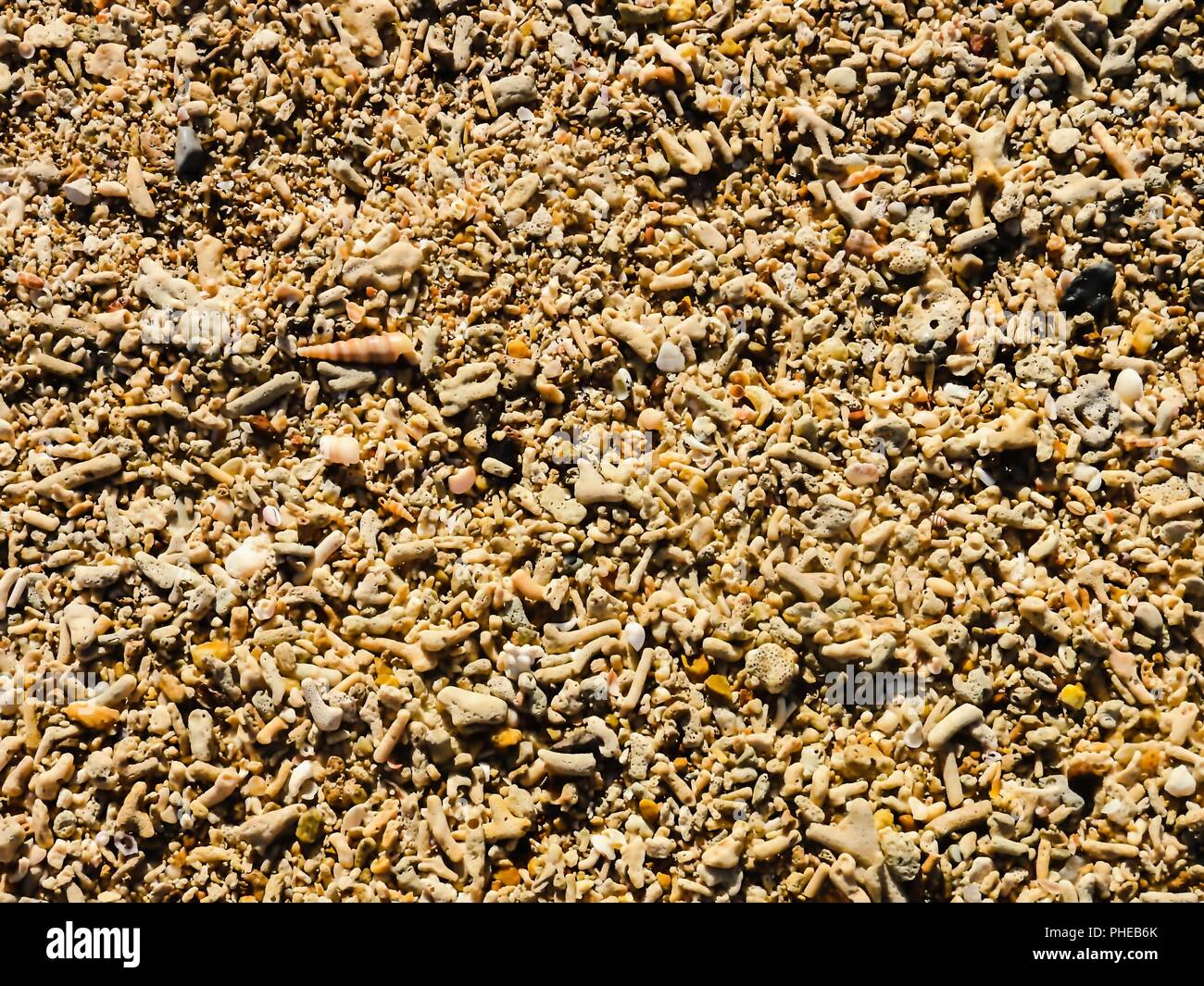 Coral stones hi-res stock photography and images - Alamy