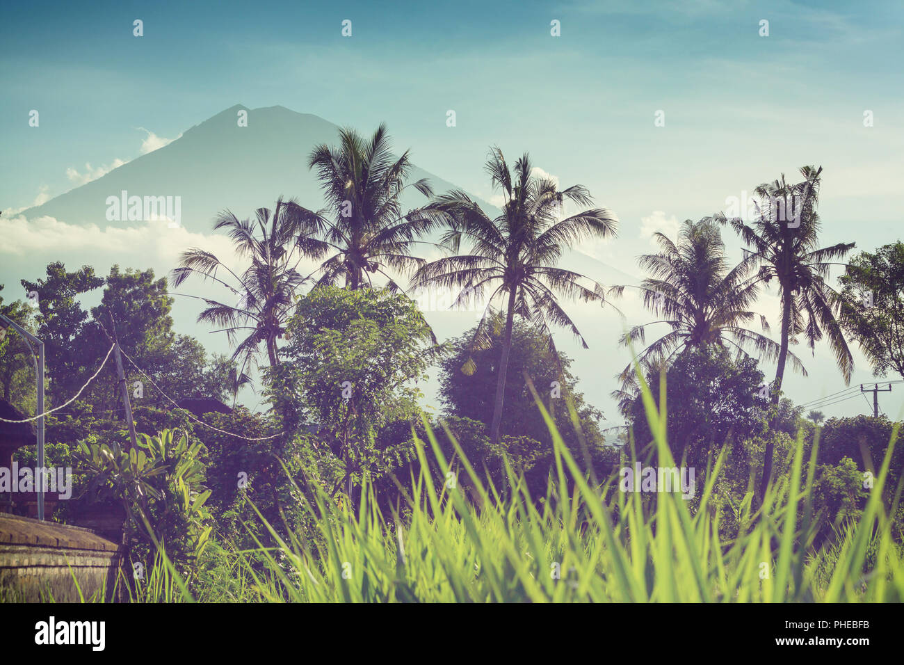 Bali landscapes hi-res stock photography and images - Alamy