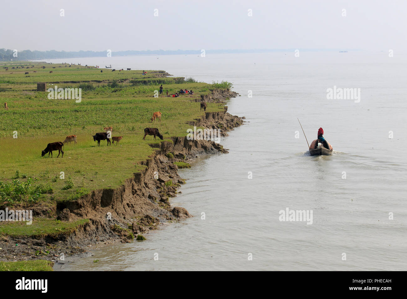 Animal erosion hi-res stock photography and images - Alamy