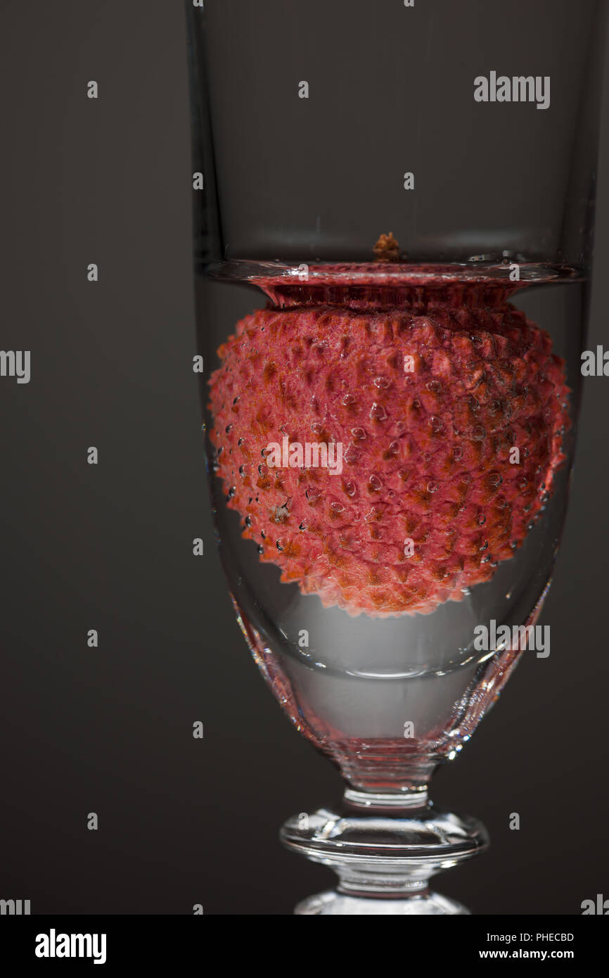 Unterlicht hi-res stock photography and images - Alamy