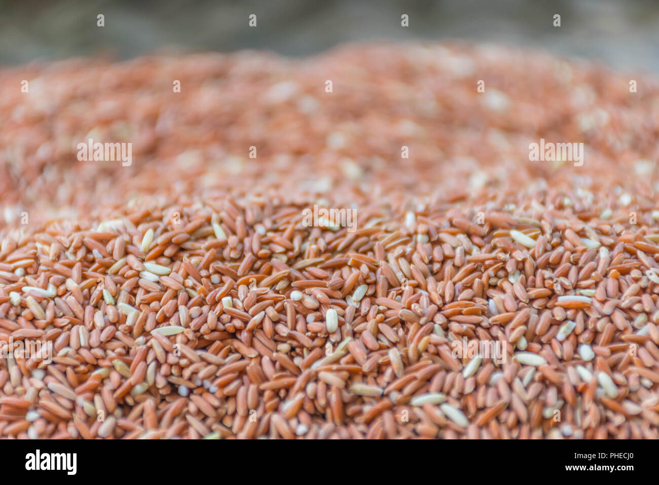 The soft blurred and soft focus surface texture dry method of red ...