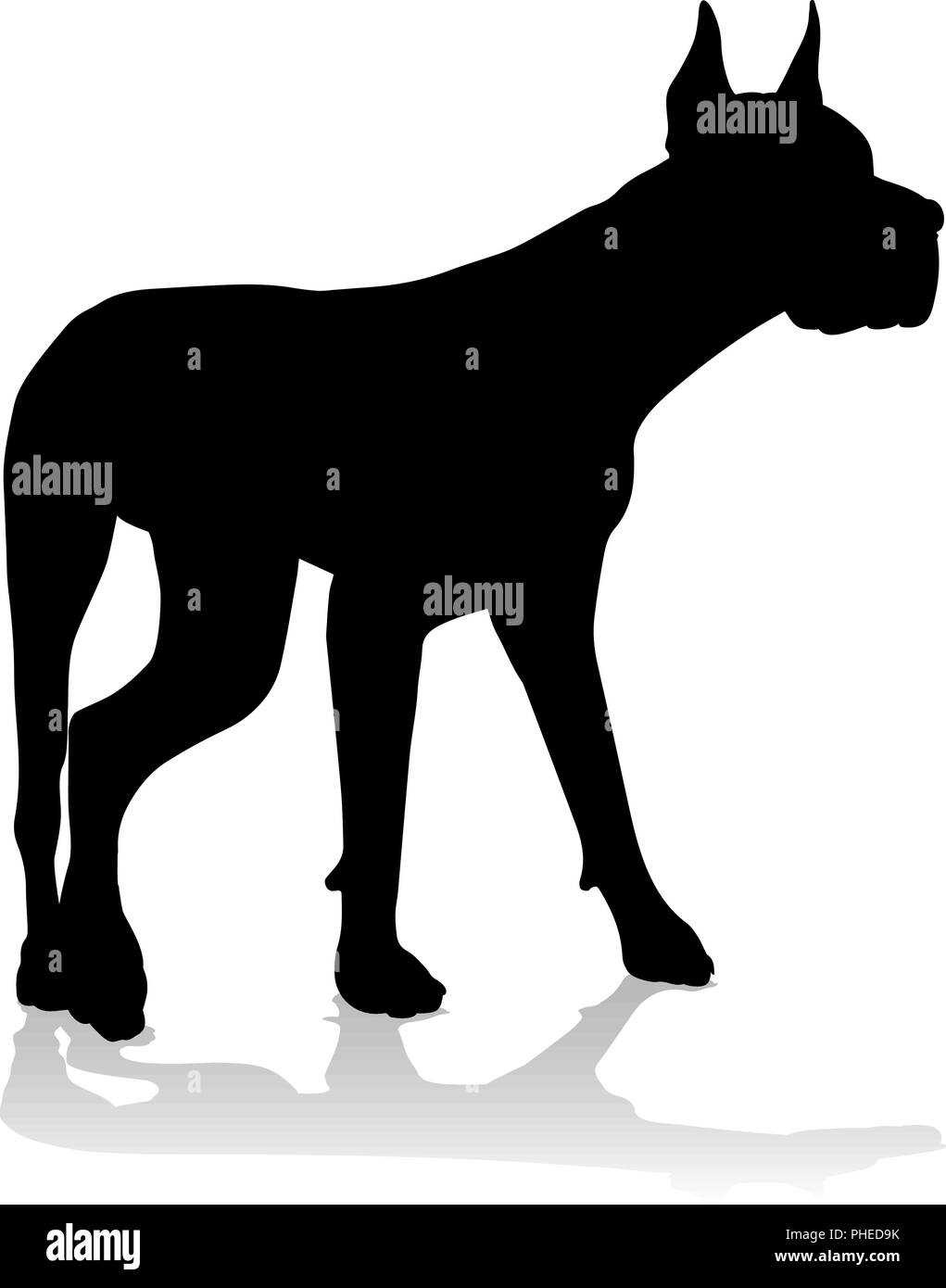 Great dane dog black Stock Vector Images - Alamy