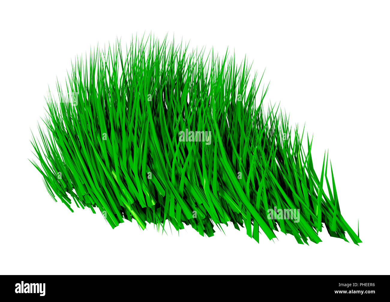 3D rendering of a green grass clump isolated on white background Stock ...