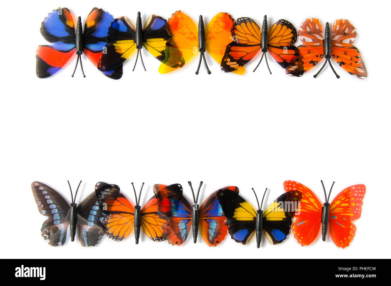 Colourful butterfly isolated on white background Stock Photo - Alamy